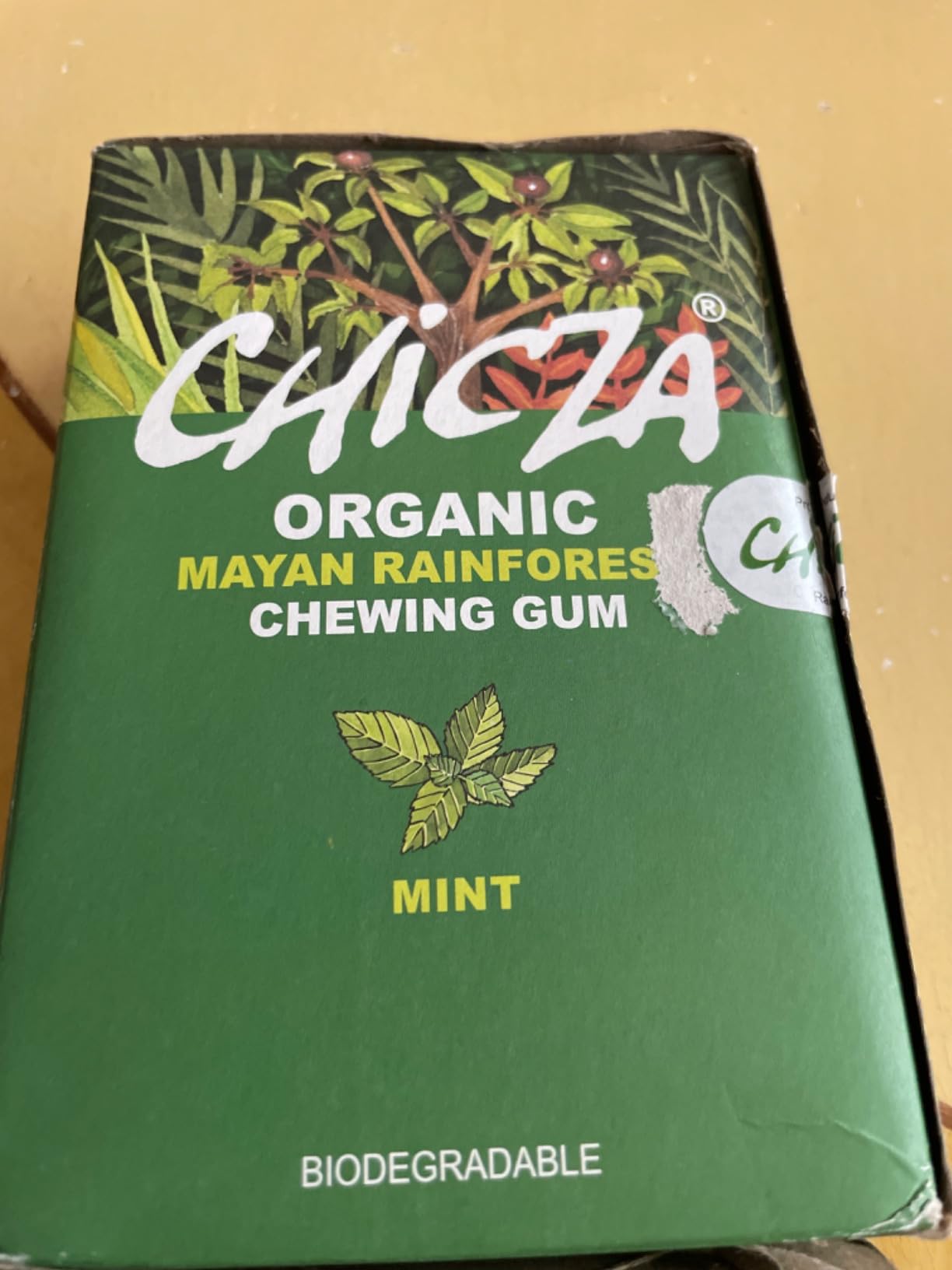 Amazon.com : Natural Mayan Chewing Gum "Chicza" - 2 x 12 Mint Gums ...
