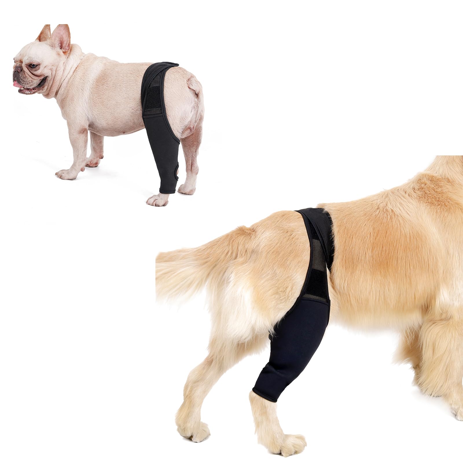 Amazon.com : (M) Dog Knee Brace for Torn Acl Hind Leg, Dog Knee Stifle ...