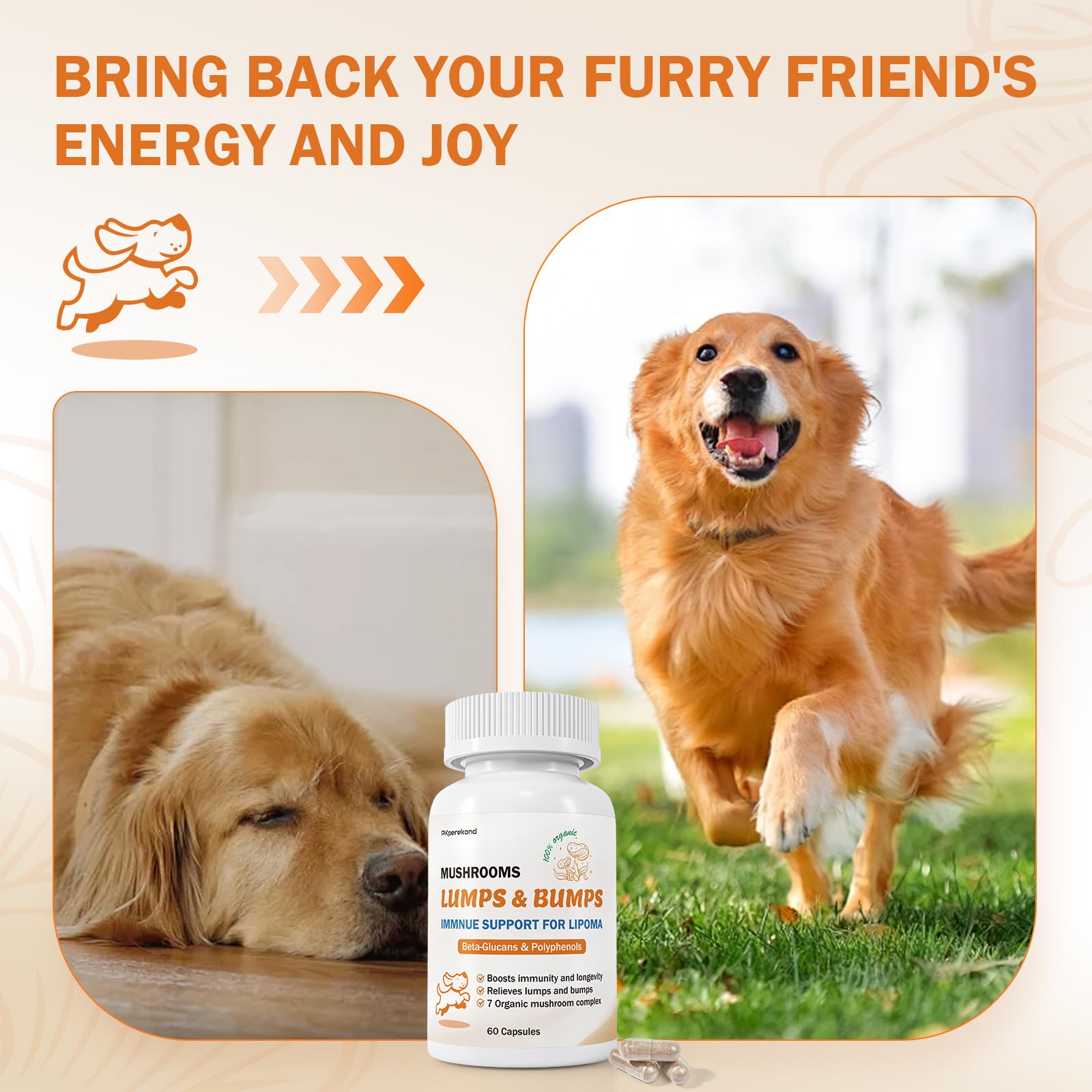 Snapklik.com : Dog Mushroom Supplement Guard For Lumps And Bumps ...