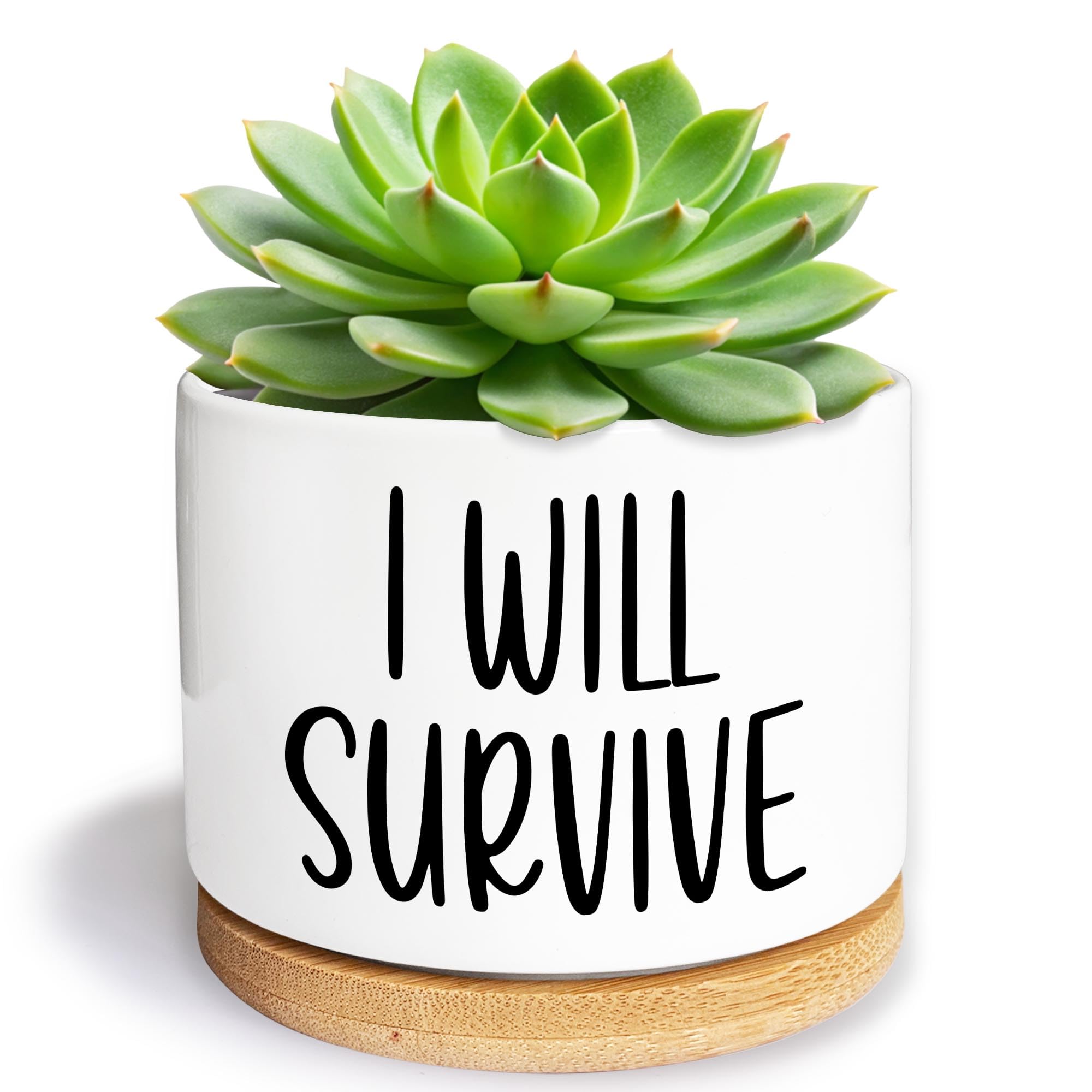 Amazon.com: I Will Survive- Funny White Succulent Pots Home Kitchen ...