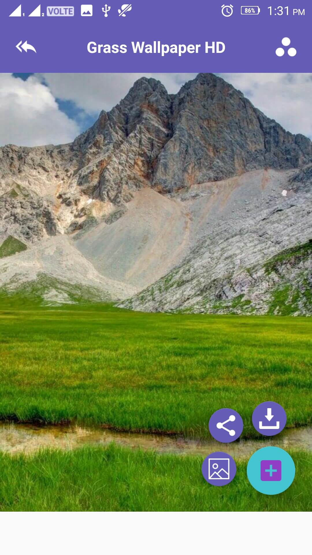 Grass 4K Wallpaper - App on Amazon Appstore