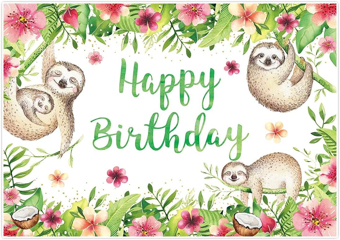 Amazon.com: Allenjoy 7x5ft Lovely Sloth Theme Happy Birthday Backdrops ...