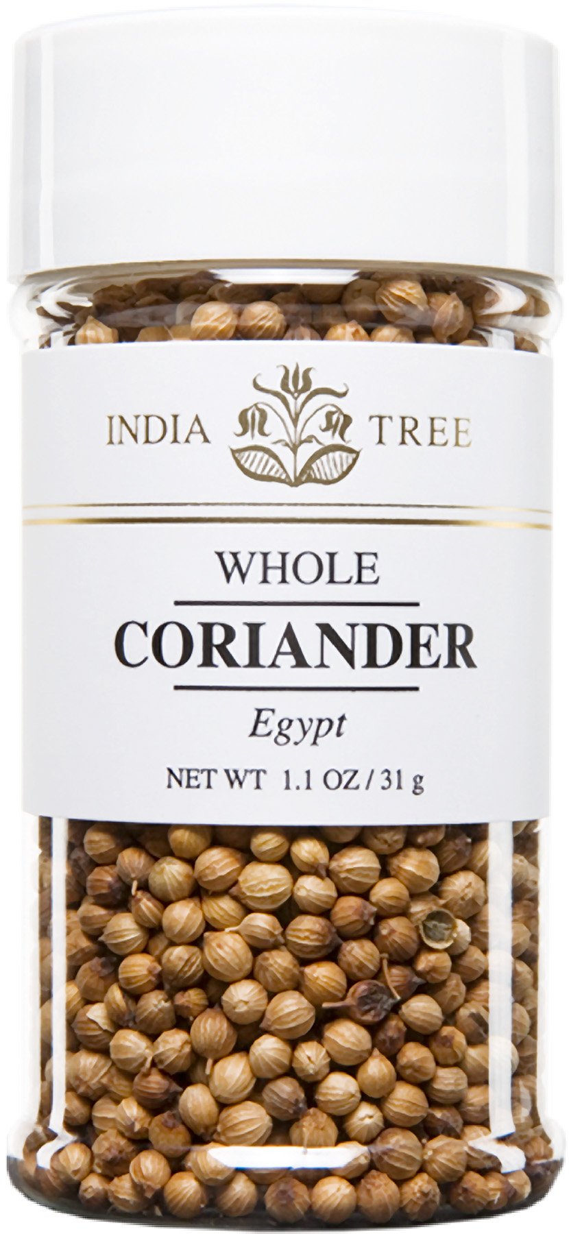 Coriander Tree And Seeds