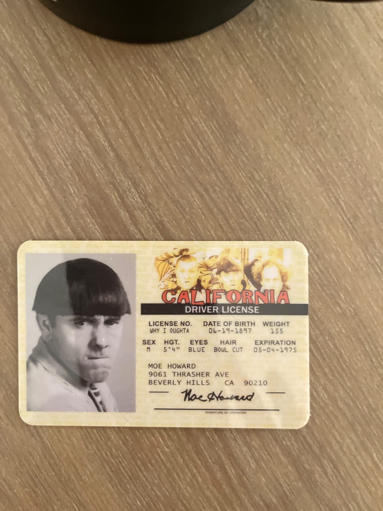 Amazon.com: Three Stooges - Moe Howard Driver License Novelty Id Card ...