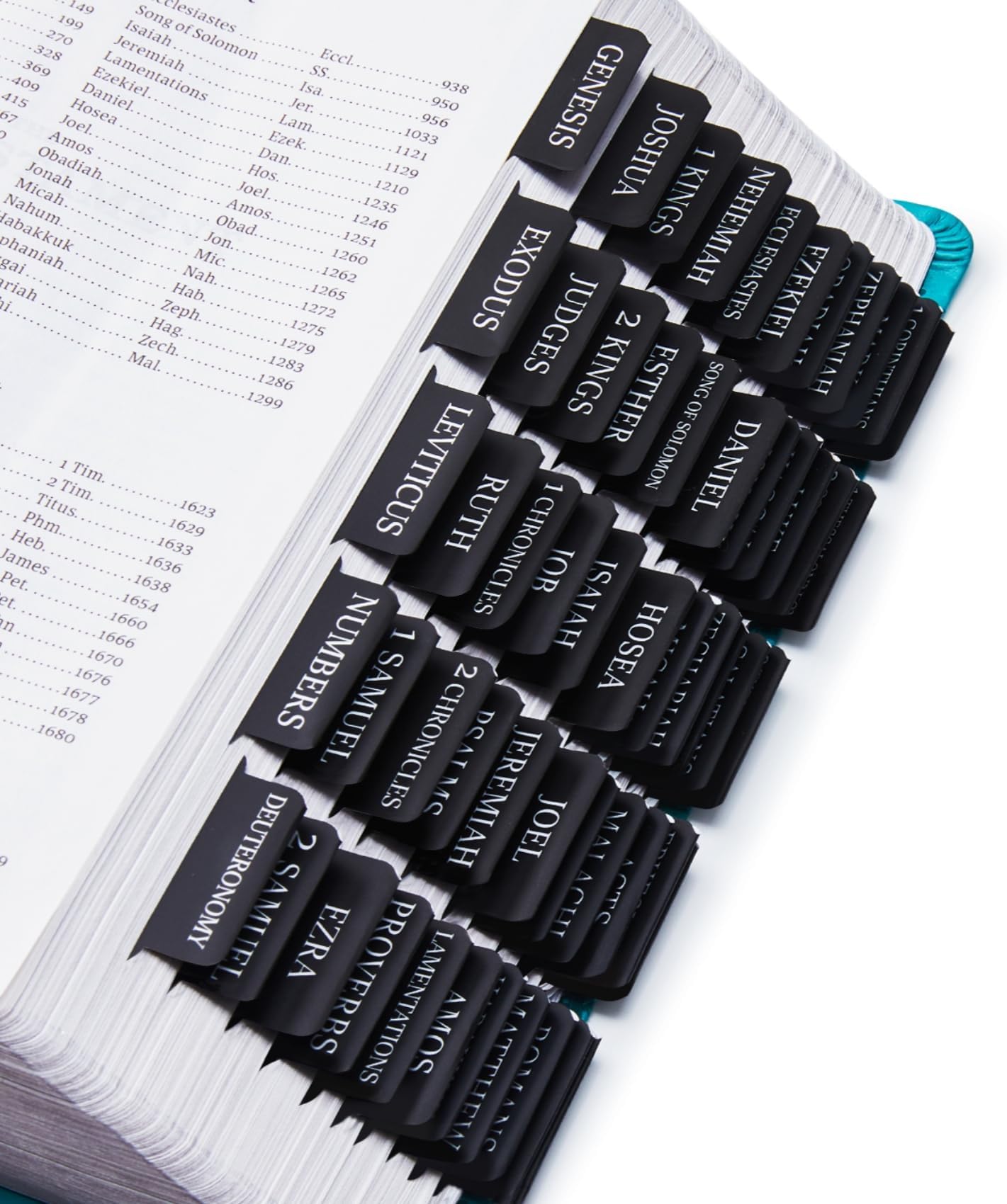 Amazon.com : Laminated Bible Tabs for Women & Men - Large Print Tabs ...