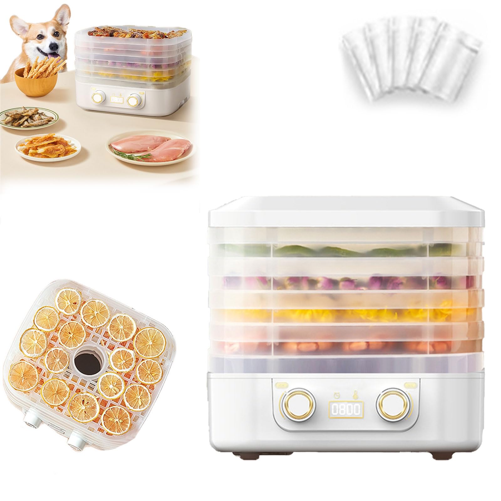 Amazon.com: Freeze Dryer Machine for Home, Food Freeze Dryer Machine ...