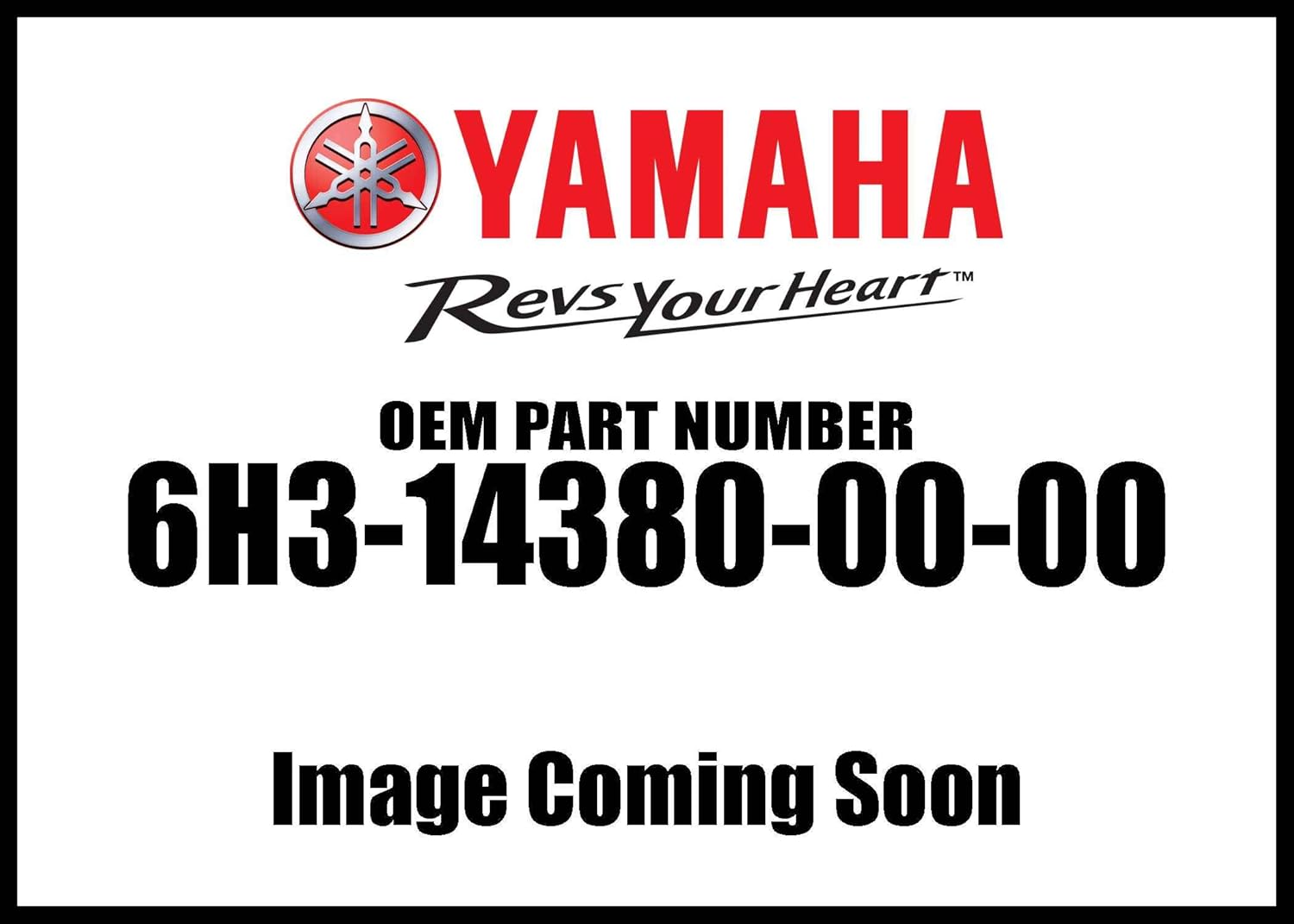 Amazon.com: Yamaha 6H3-14380-00-00 STARTER ASSY; 6H3143800000 : Automotive