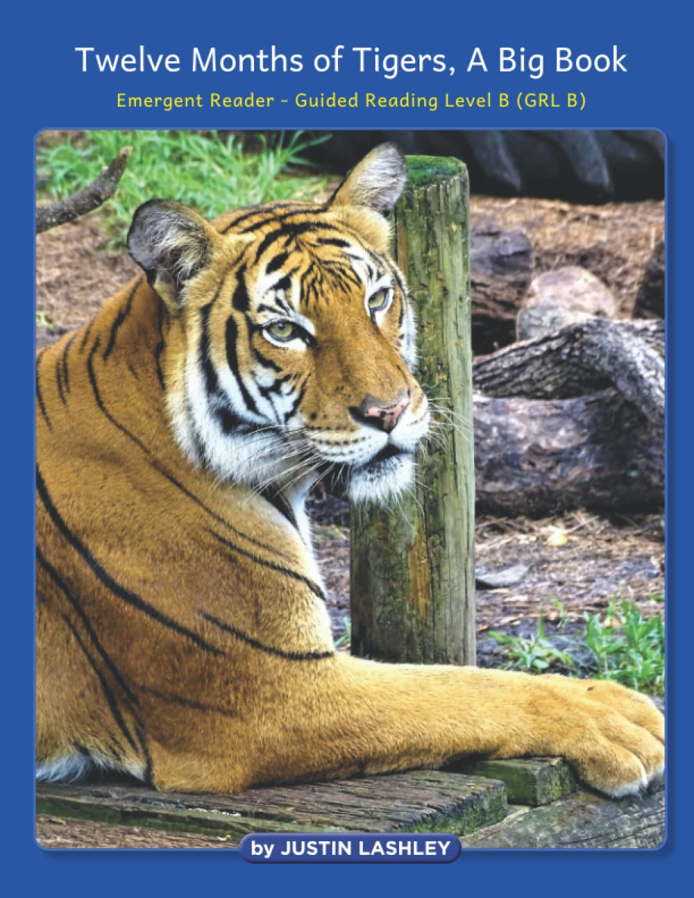 Twelve Months of Tigers, A Big Book: Emergent Reader - Guided Reading ...