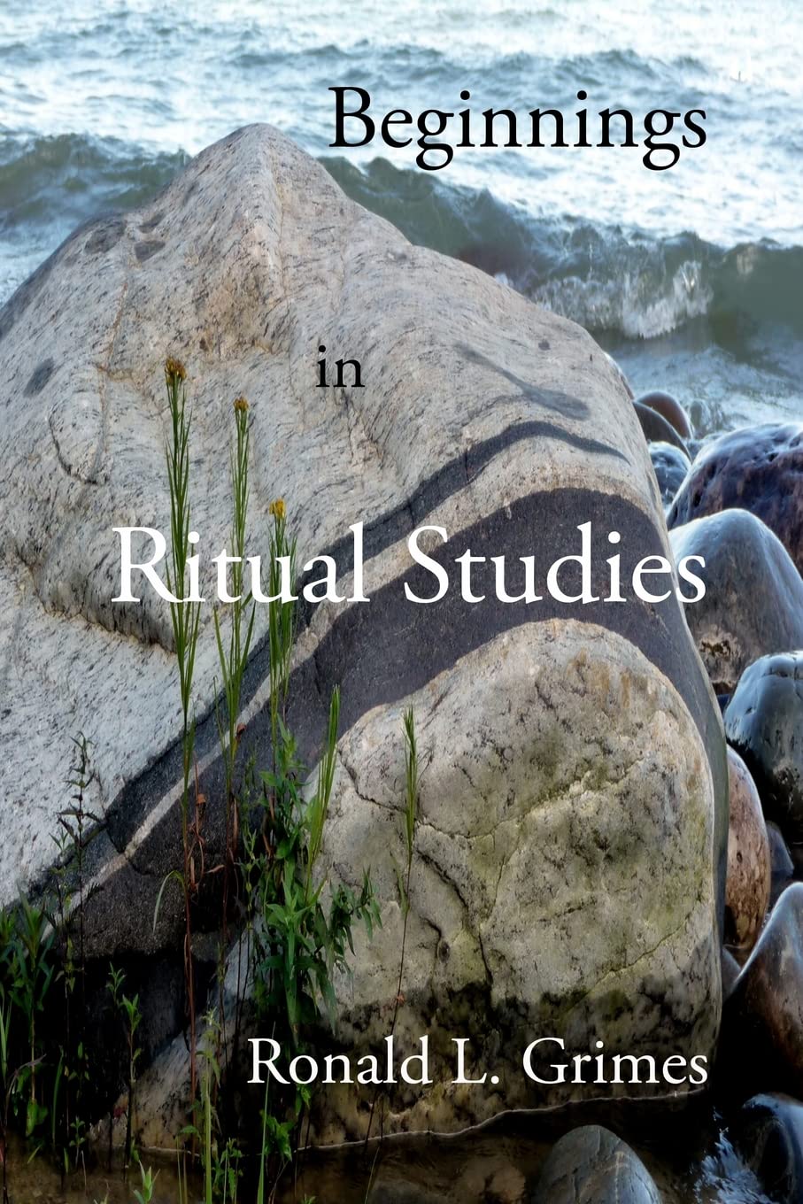 Beginnings in Ritual Studies: Grimes, Ronald L.: 9781453752623: Amazon ...
