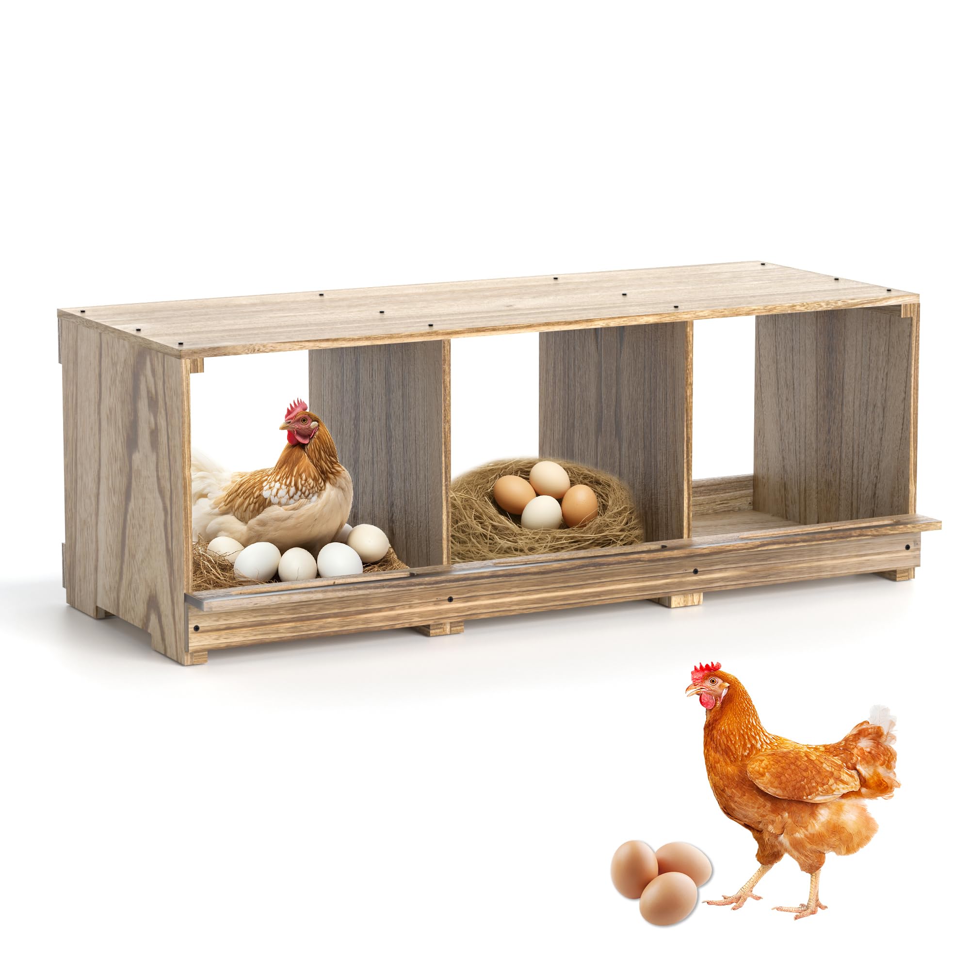 Chicken Nesting Boxes