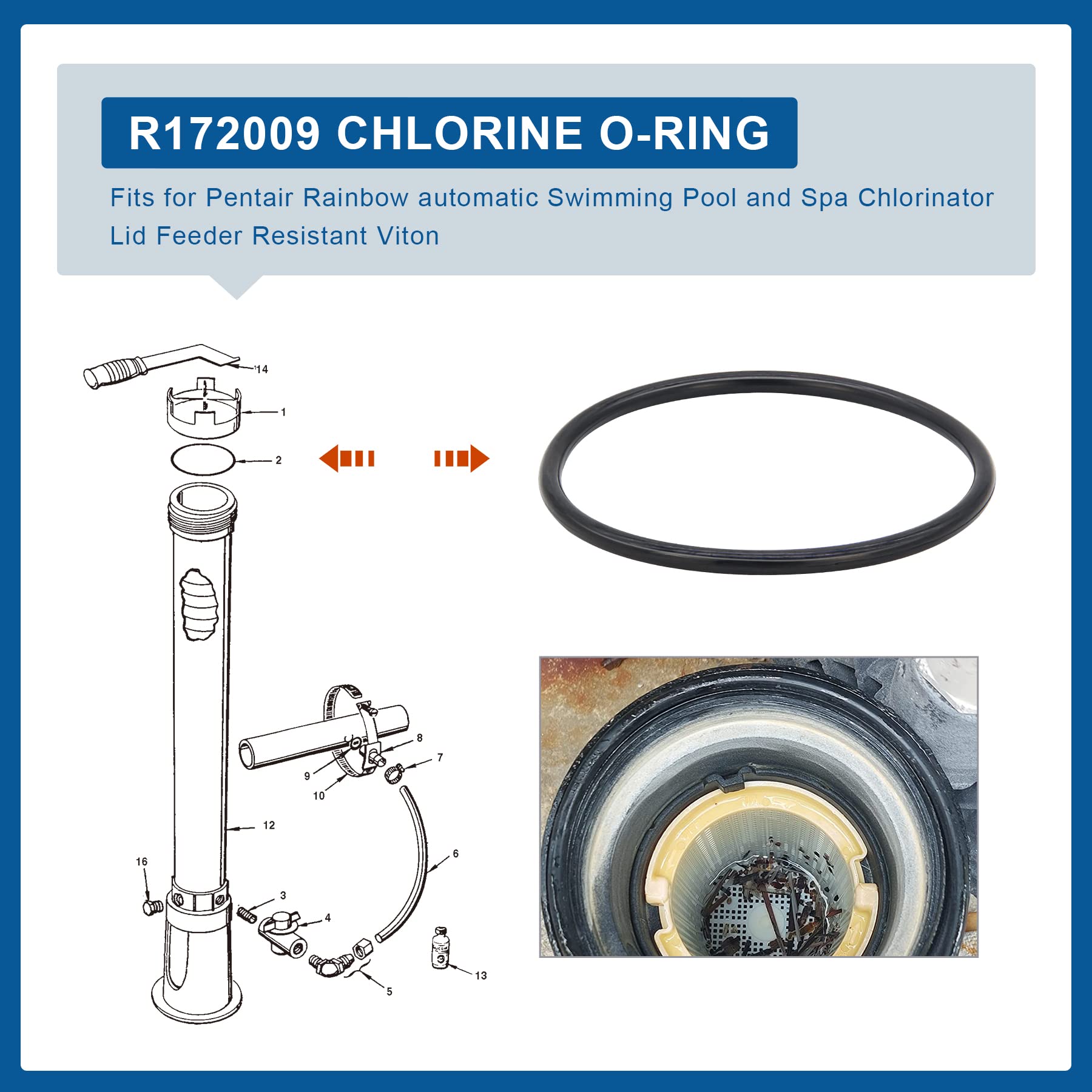 Snapklik.com : Replacement R172009 O-283 O-Ring For Pentair Rainbow ...