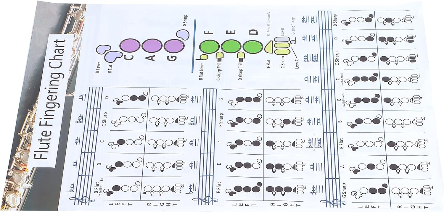 Amazon.com: Flute Chord Chart, Flute Fingering Chord Chart for Beginner ...