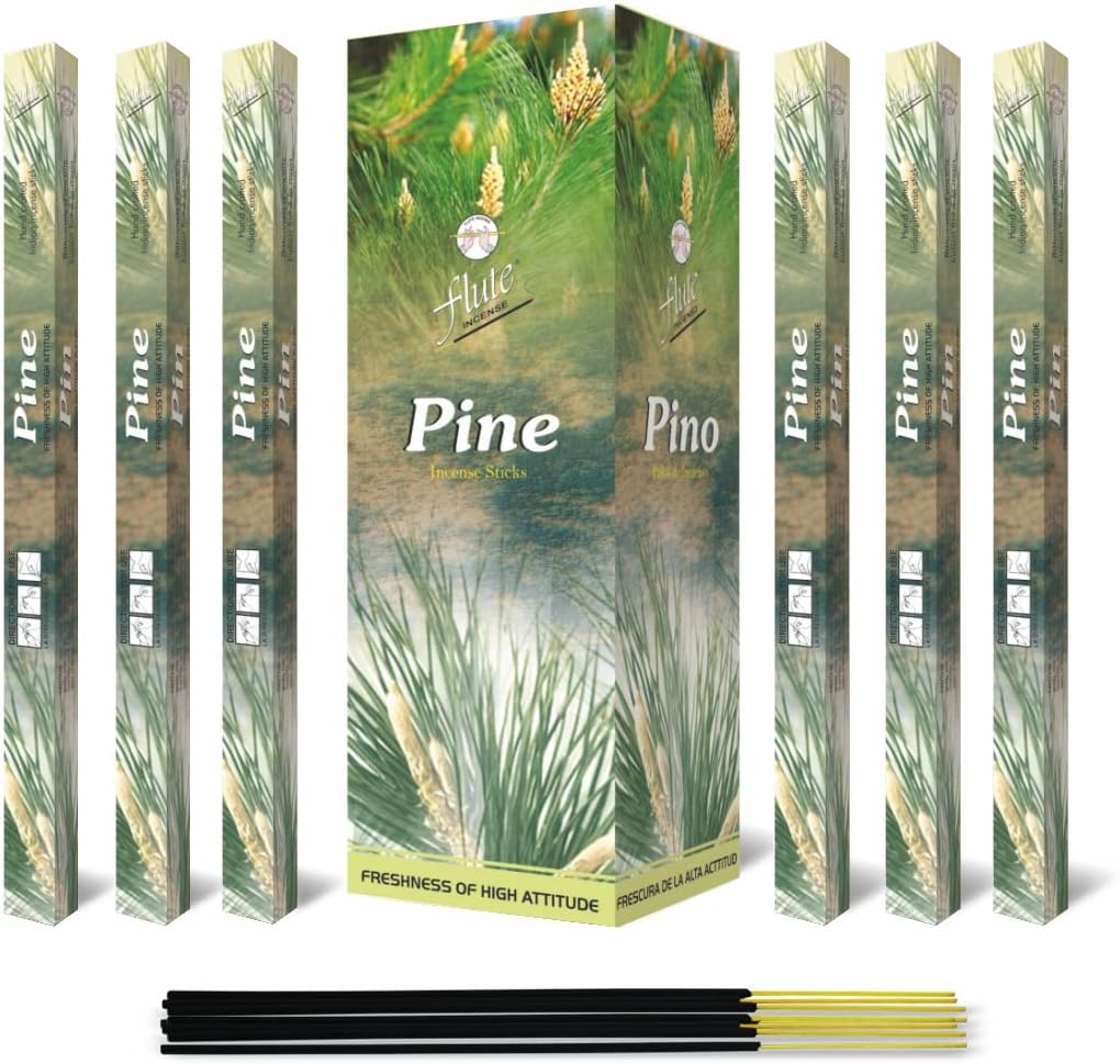 Amazon.com: Hem Pine Incense stick,20 Sticks each- 6 pack : Home & Kitchen