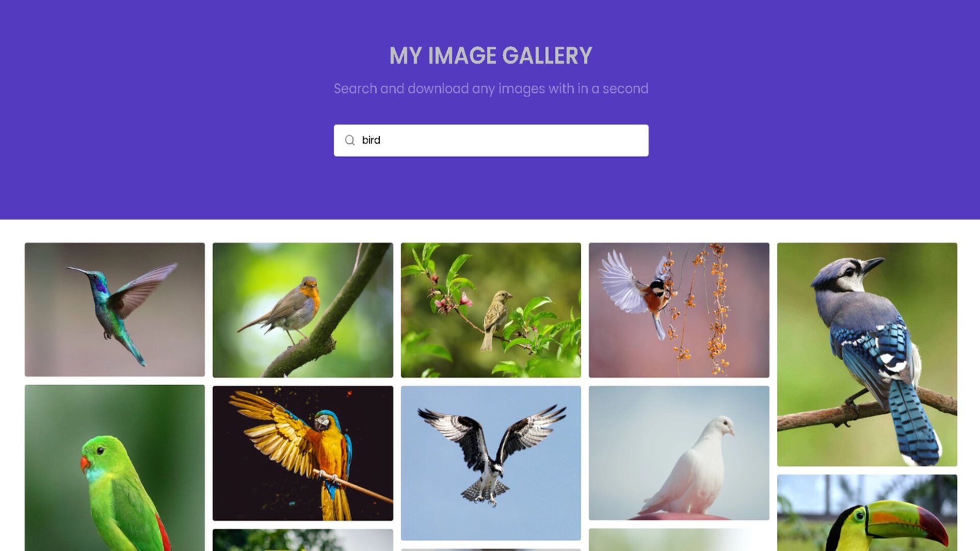 Image Search Engine - App on Amazon Appstore
