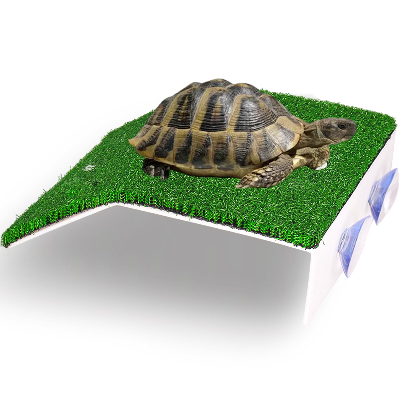 Snapklik.com : Lawn Basking Platform For Turtles, Simulated Grass ...