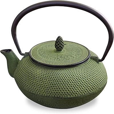 Amazon.com | Zawatang Cast Iron Teapot Kettle Japanese Tetsubin Cast Iron Teapot with Stainless ...