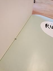 The Runaway Pea : Poskitt, Kjartan, Willmore, Alex: Amazon.co.uk: Books