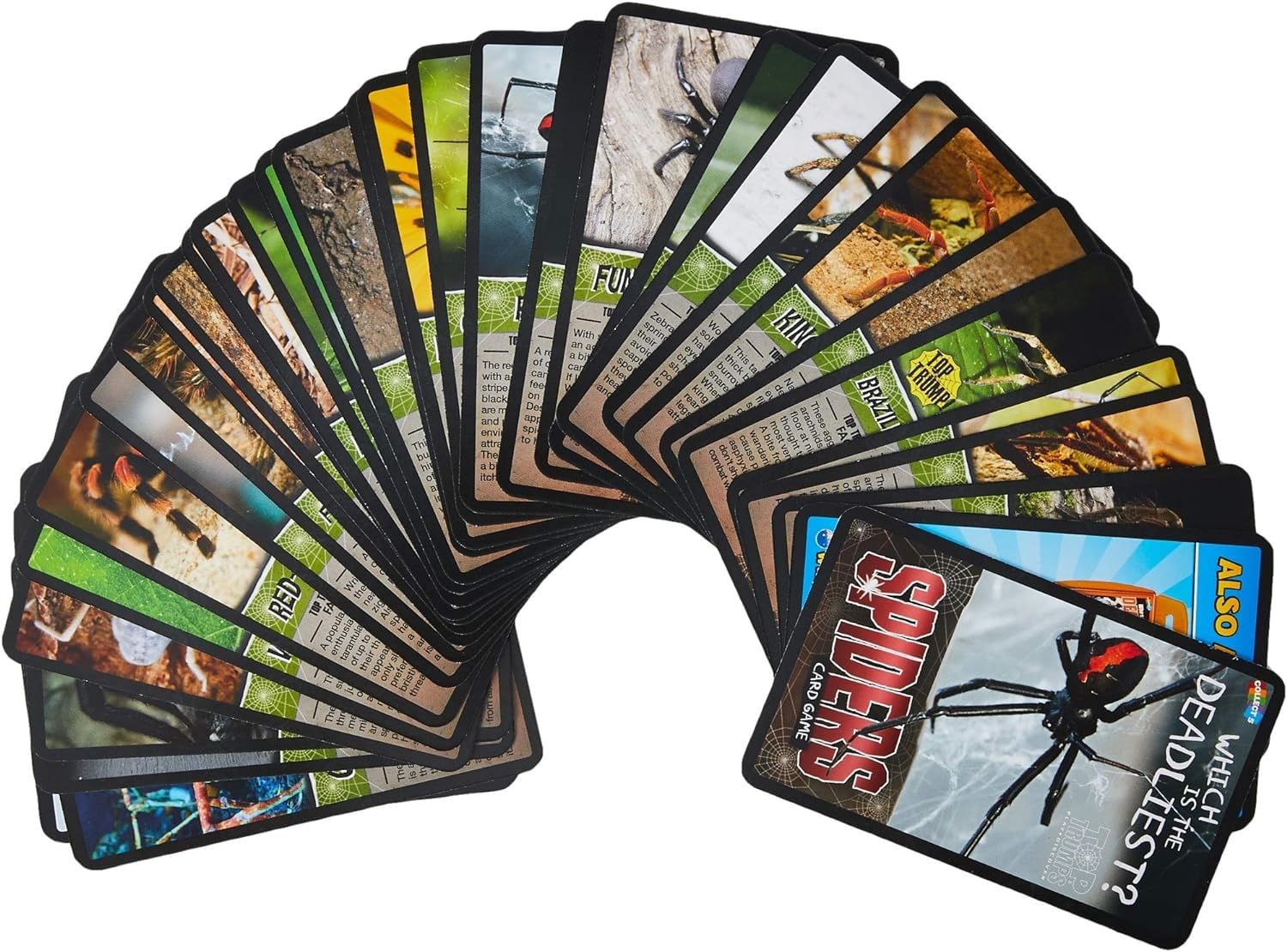Snapklik.com : Spiders Classics Card Game, Discover Facts About The ...
