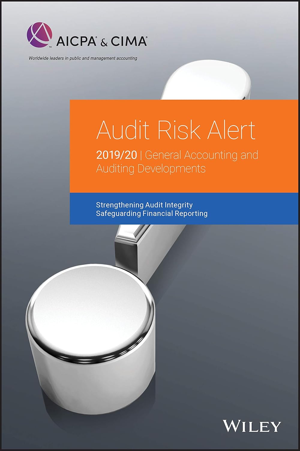 Audit Risk Alert: General Accounting and Auditing Developments 2019/ ...