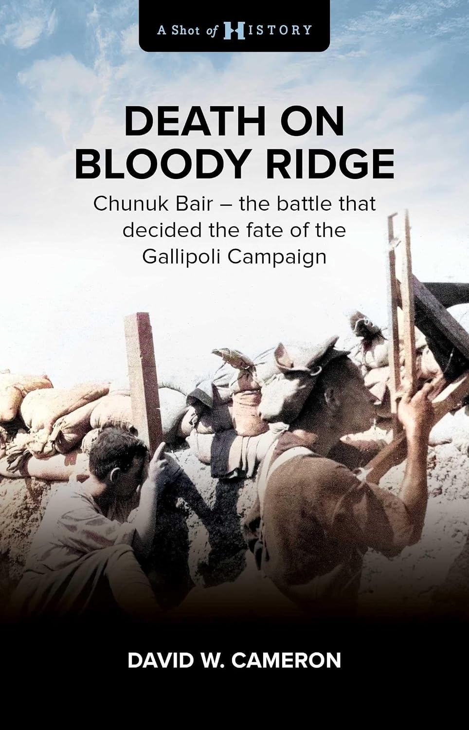 Death on Bloody Ridge: Chunuk Bair - the battle that decided the fate ...