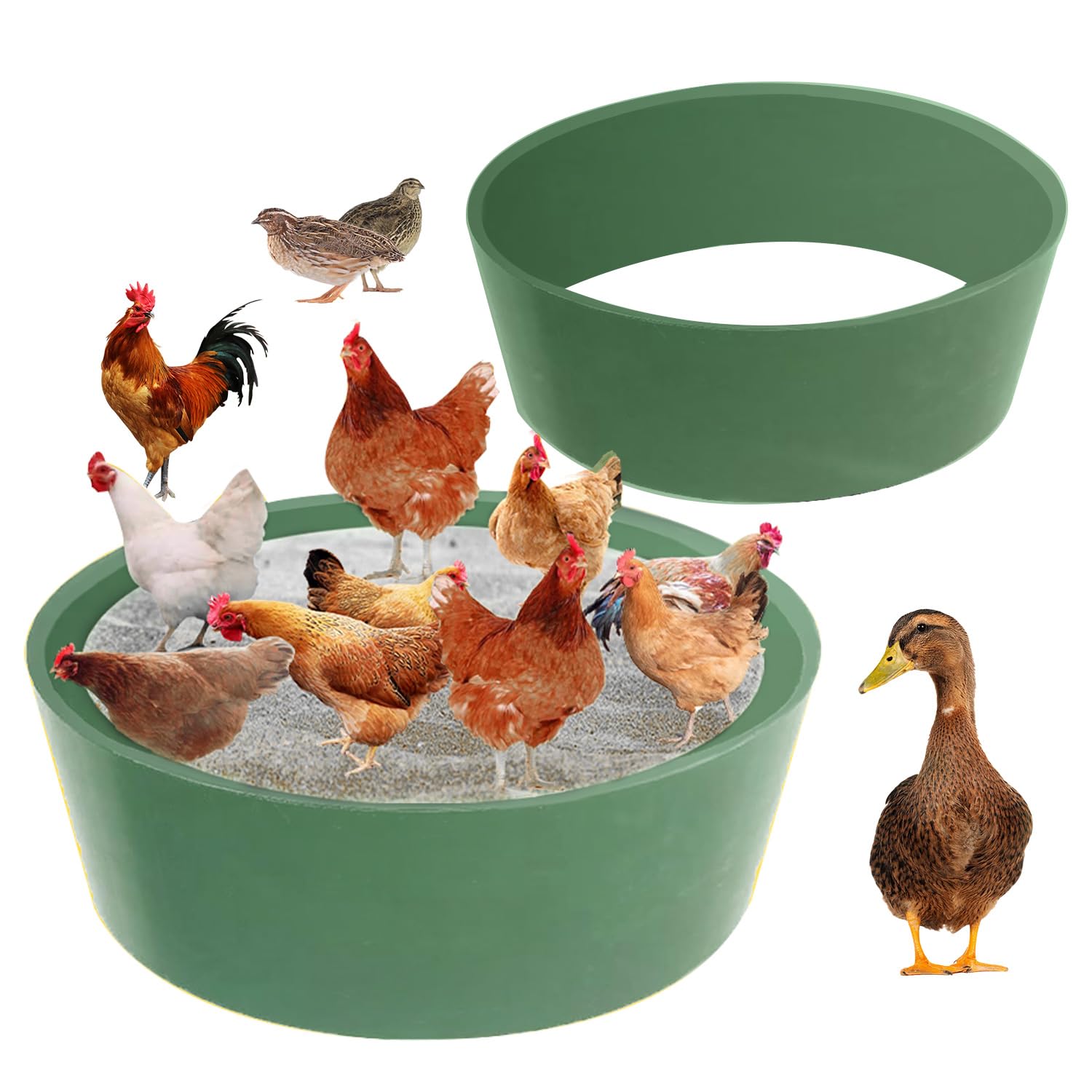 Amazon.com : Chicken Dust Bath Tub, 25'' D * 5.9'' H, Bottomless Design ...