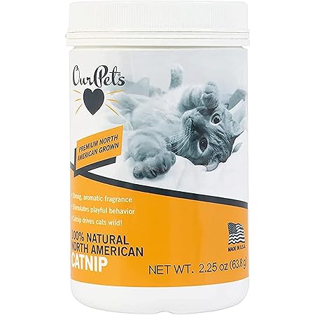 Amazon.com: KONG - Naturals Premium Catnip - Premium North American ...