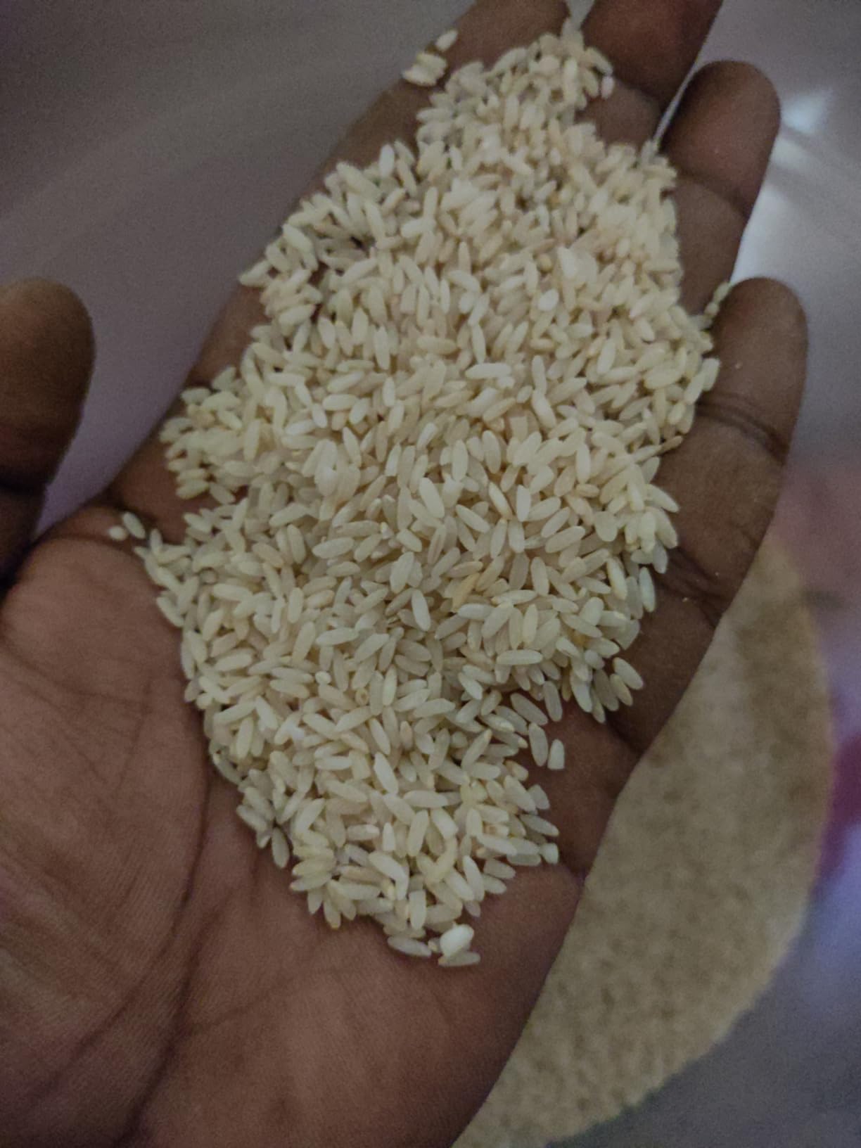 Village Rice Highest Soluble High Dietary Fiber Rice with High Protein ...