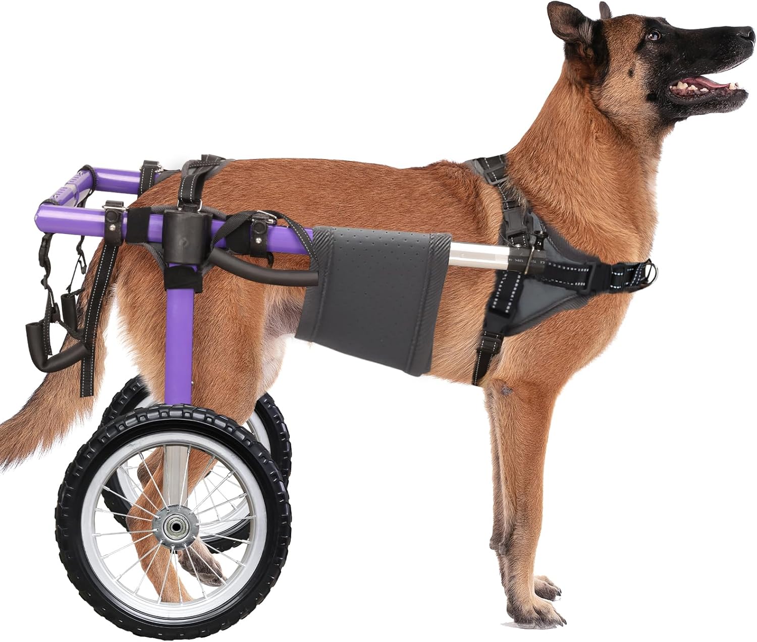 Dog Wheelchair for Back Legs Large Ultra-Light Philippines | Ubuy