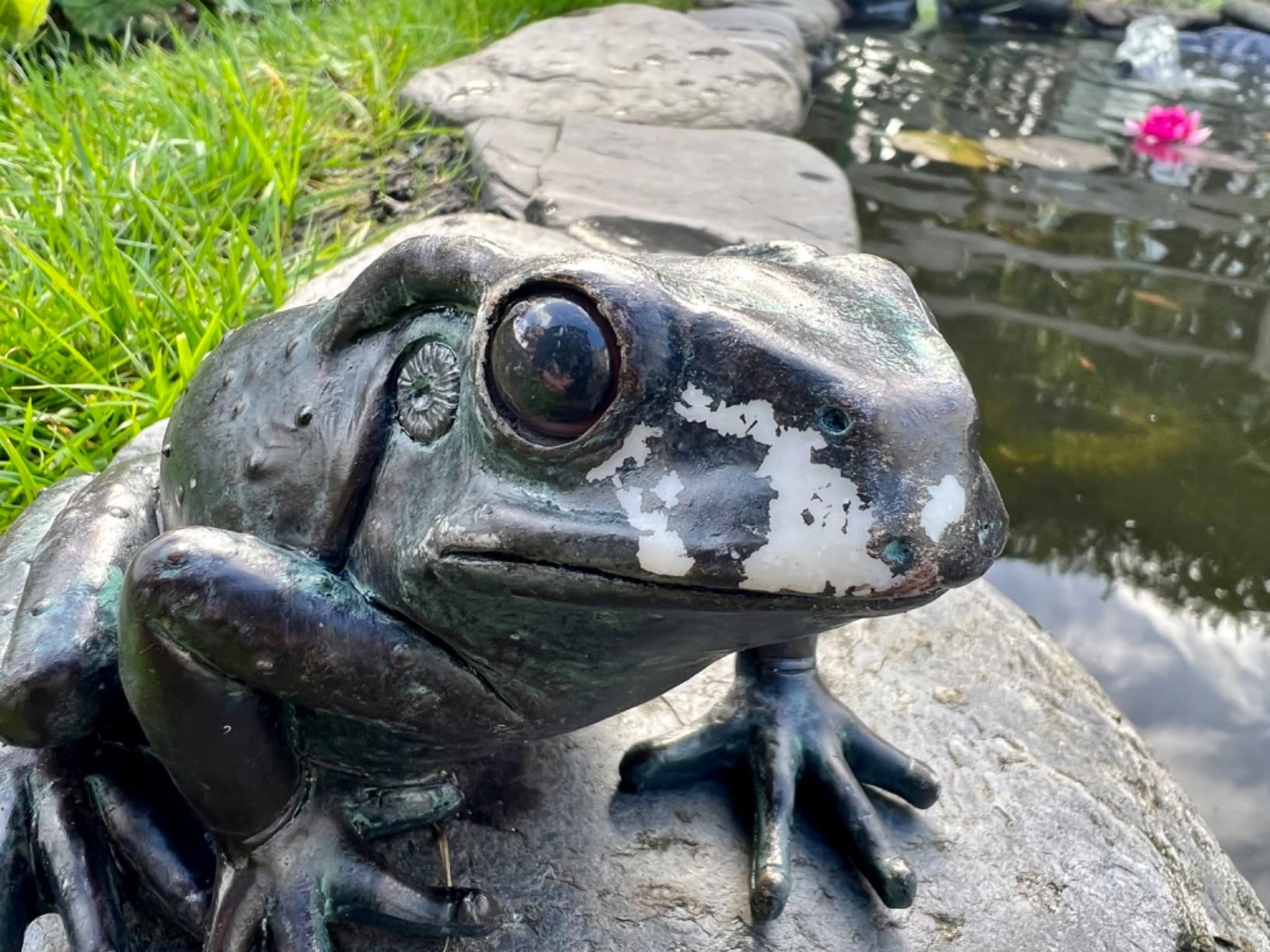 London Ornaments Set of Two Large Frogs: Amazon.co.uk: Home & Kitchen