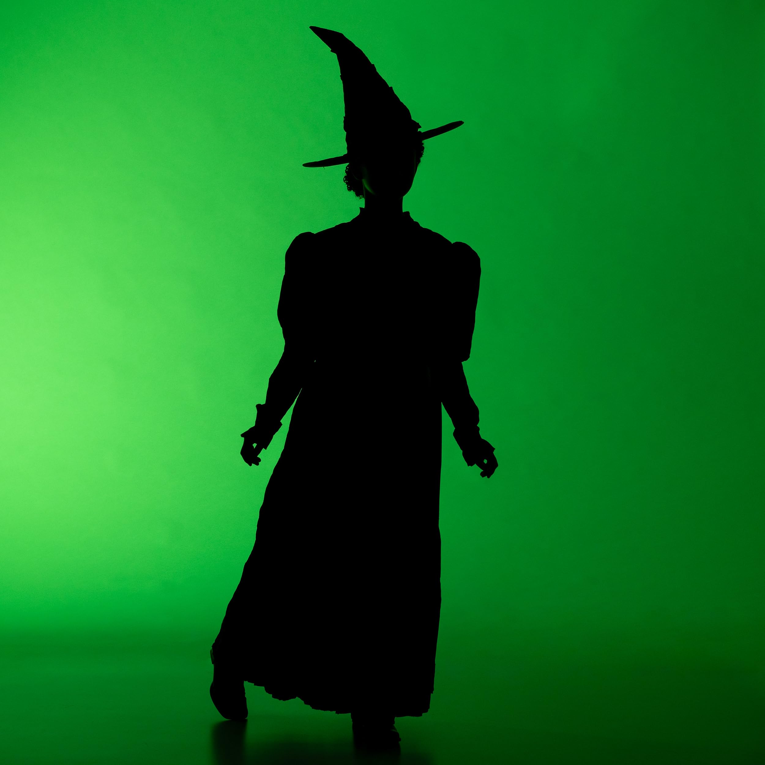 Snapklik.com : Wicked Elphaba Costume For Girls, Deluxe Official Wicked ...