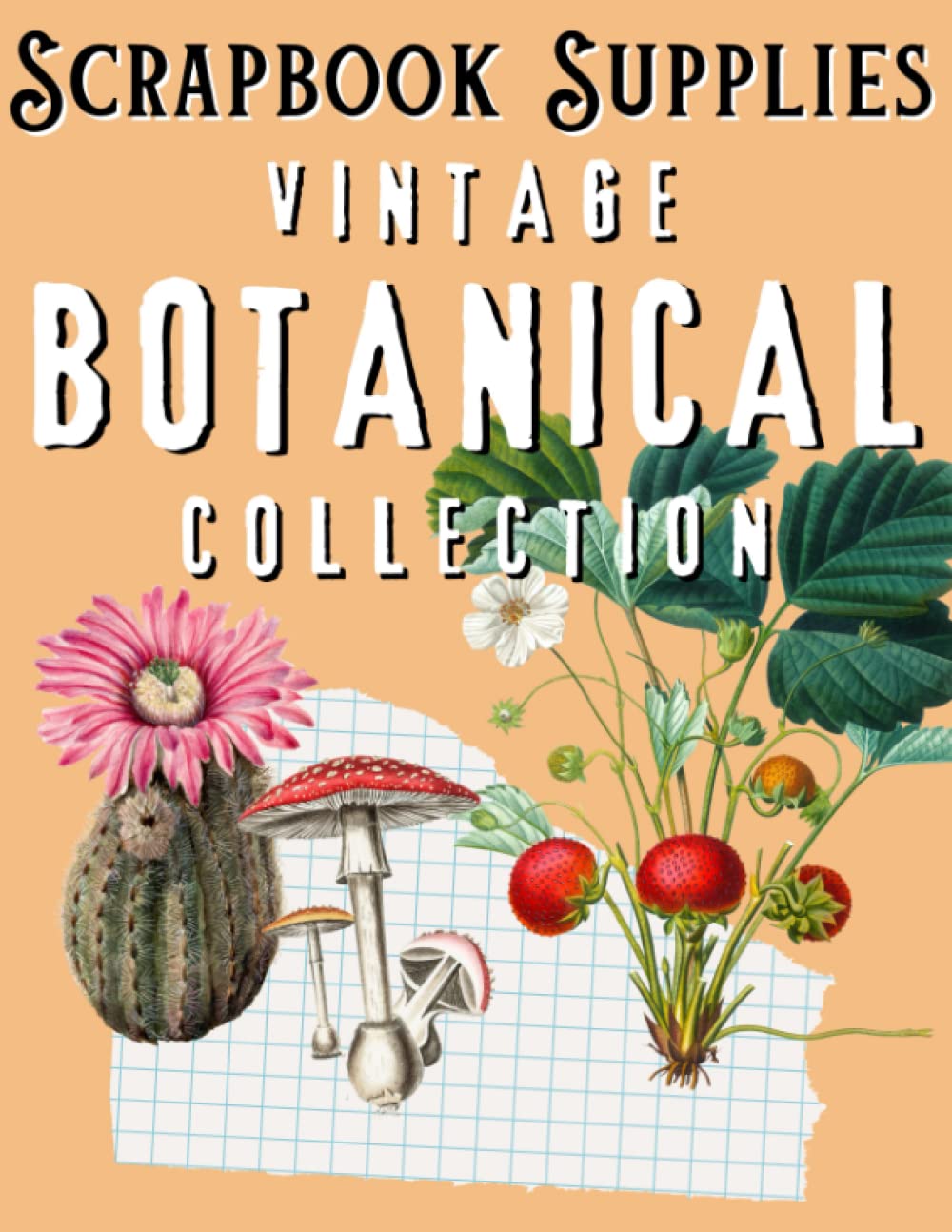 Scrapbook Supplies Vintage Botanical Collection: Retro Plants ...