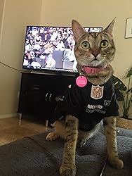 BBC America - App on Amazon Appstore