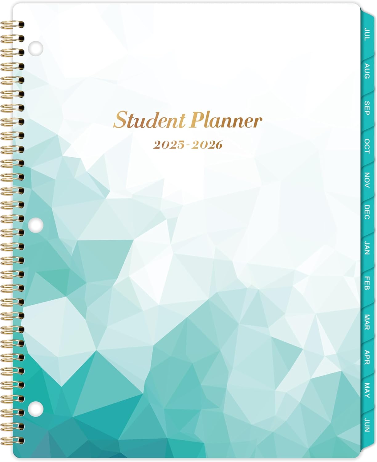 Amazon.com : Student Planner 2025-2026 - School Planner 2025-2026 ...