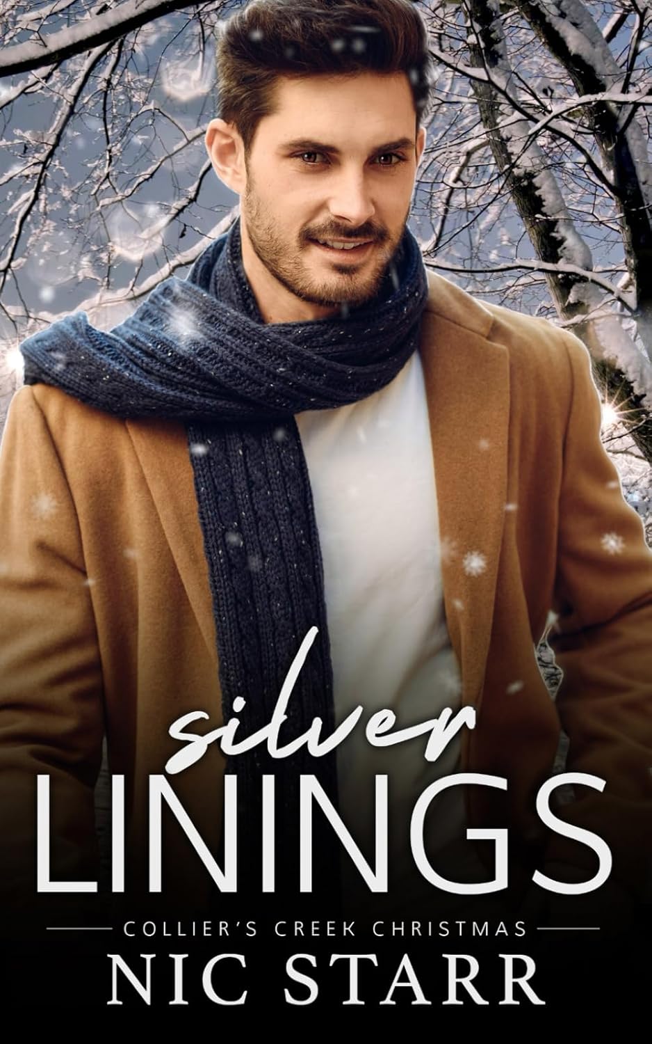 Amazon.com: Silver Linings: 9798345473191: Starr, Nic: Books