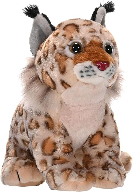 Amazon.com: Wild Republic Bobcat Plush, Stuffed Animal, Plush Toy ...