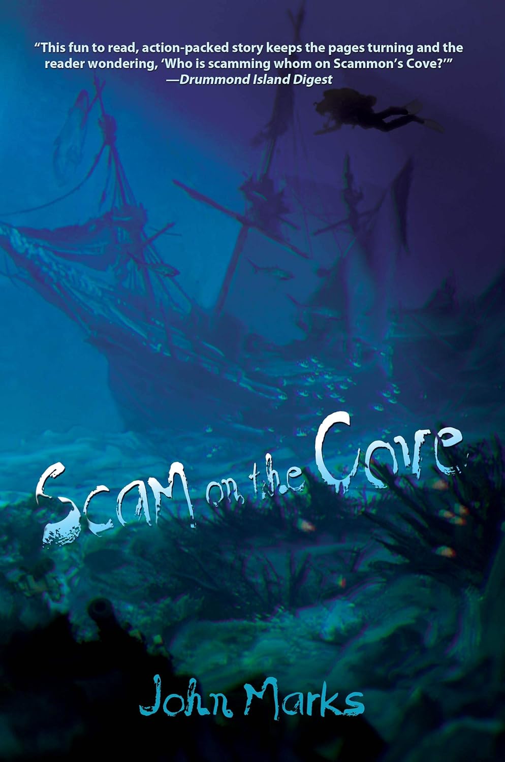Scam on the Cove (The Peninsula Mysteries Series Book 2) - Kindle ...