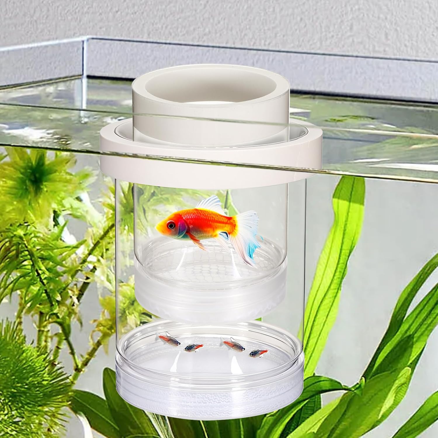 Breeder Box for Fish Tank, Aquarium Breeder Box Plastic Floating Baby ...
