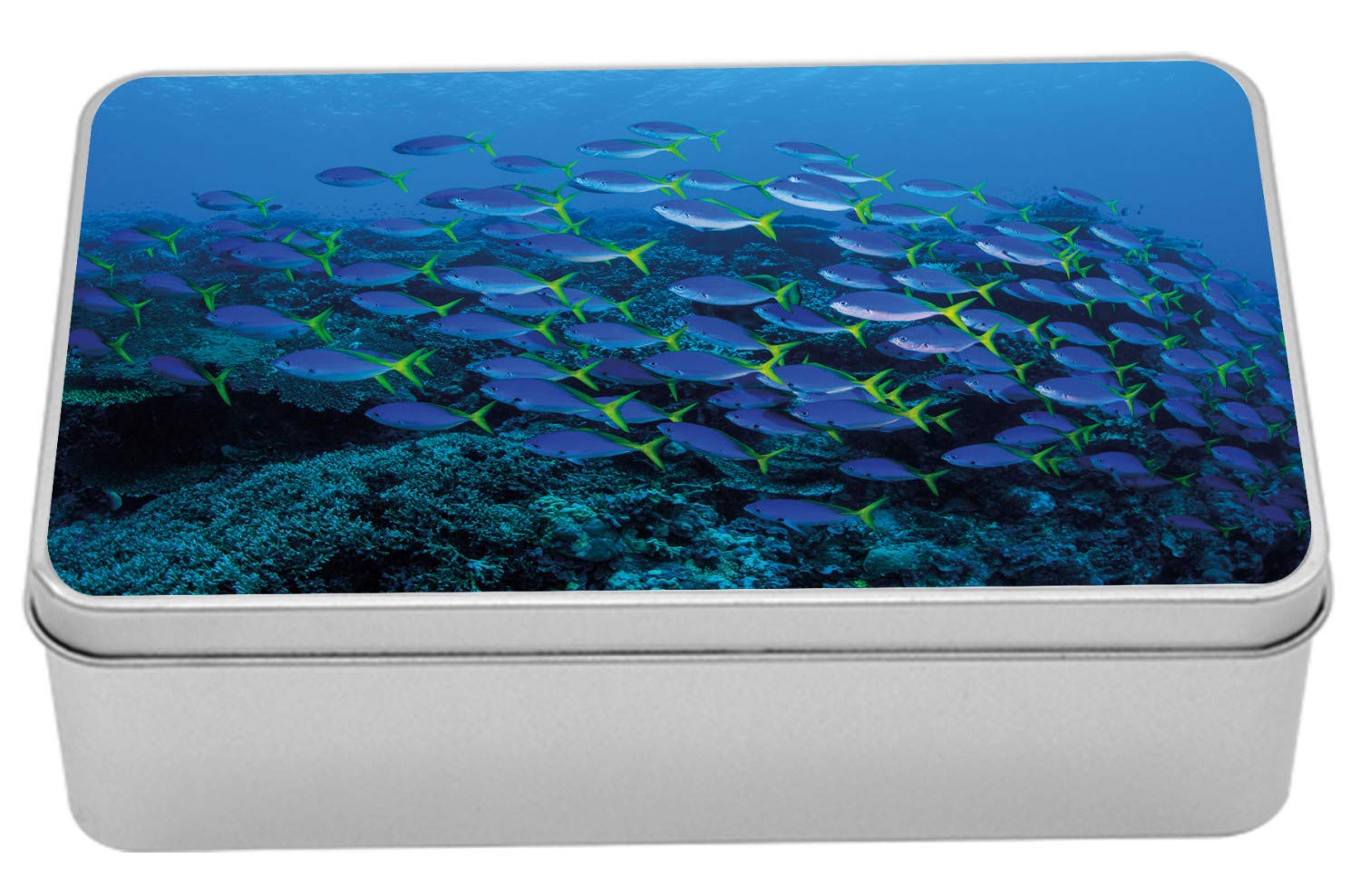 Inside Submarine Fish