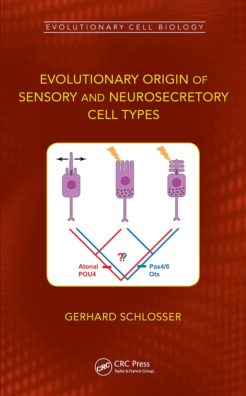 Evolutionary Origin of Sensory and Neurosecretory Cell Types ...