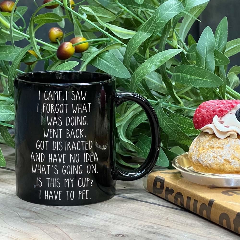 I Came I Saw I Forgot What I was Doing Coffee Mug, Senior Humor Coffee ...