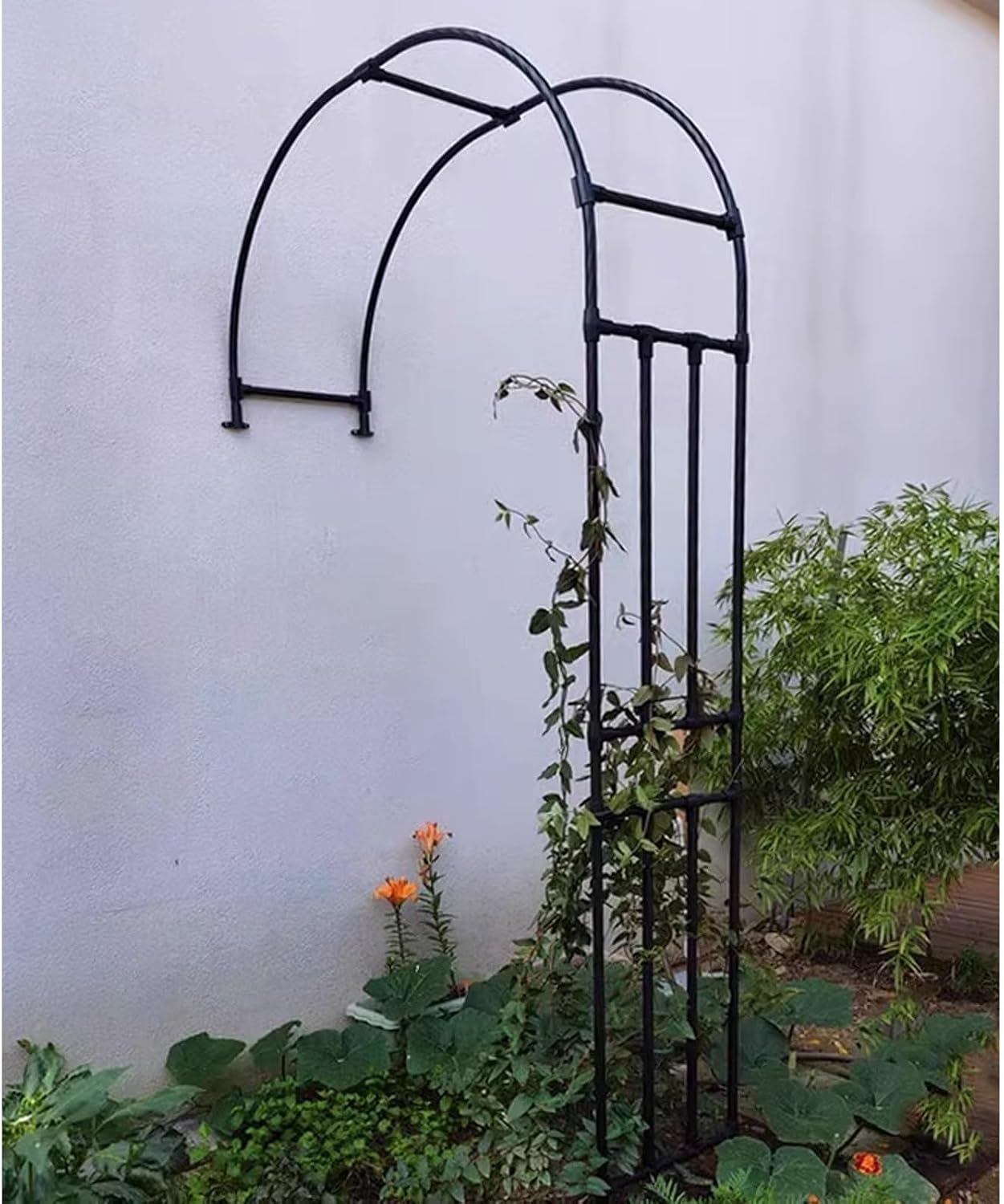 Amazon.com : Half Arch for Climbing Vines Grape, Half Side Wall Garden ...