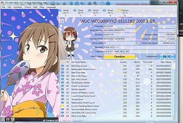 Amazon.com: Western Digital RE WD2000FYYZ 2TB 7200RPM 64MB Cache SATA 6 ...