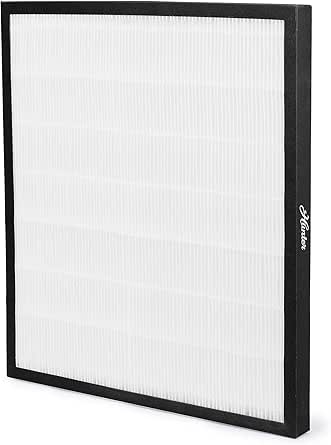 Amazon.com: HUNTER 30940 HEPA Replacement Filter