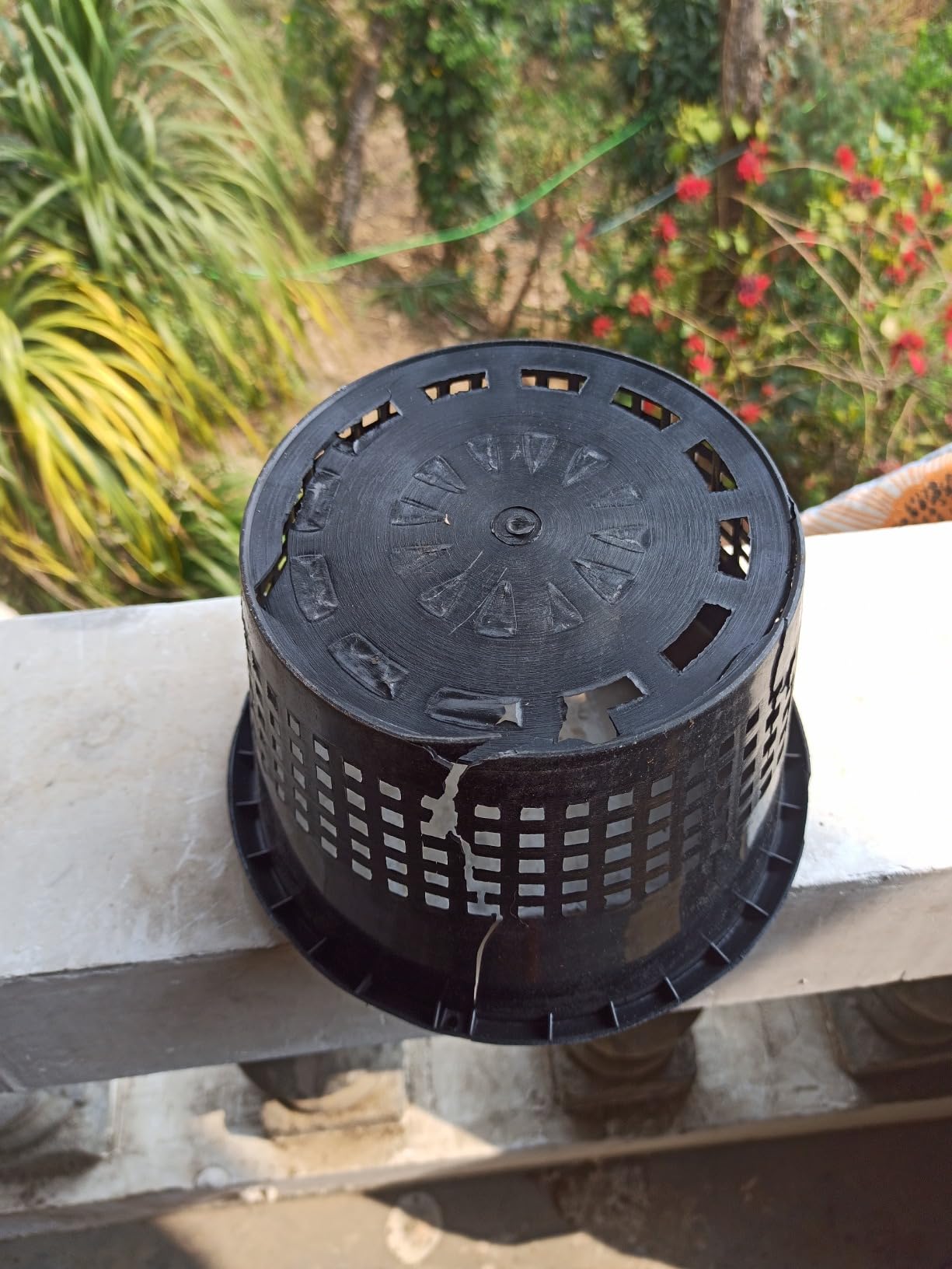 Tim Tim Agro 12 Pack 8 Inch Orchid Flower Net Pot Black Heavy Duty Net ...