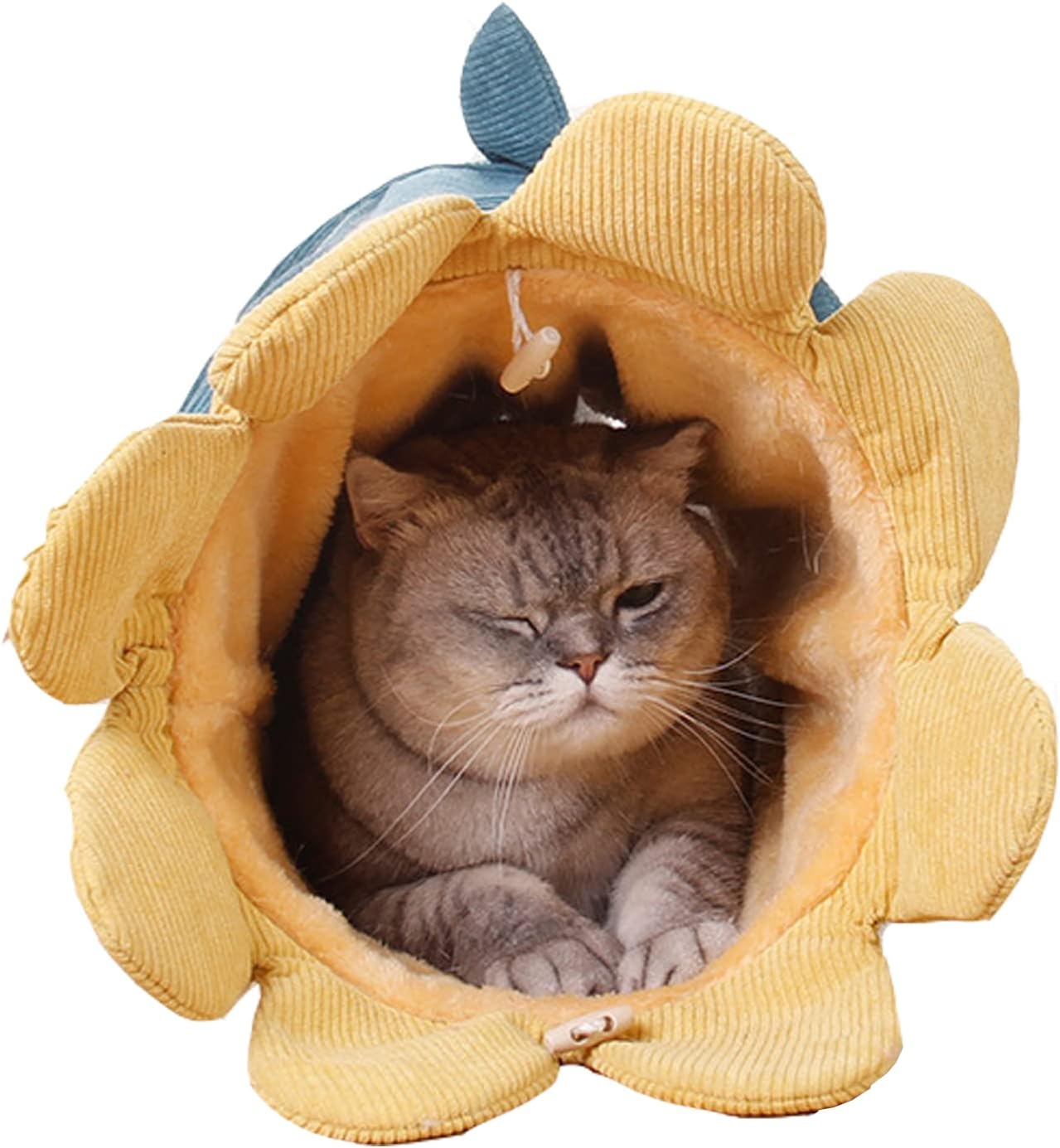 Amazon.com: Cat Tunnel Tube Cat Toys, Cat Tunnel with Plush Inside ...