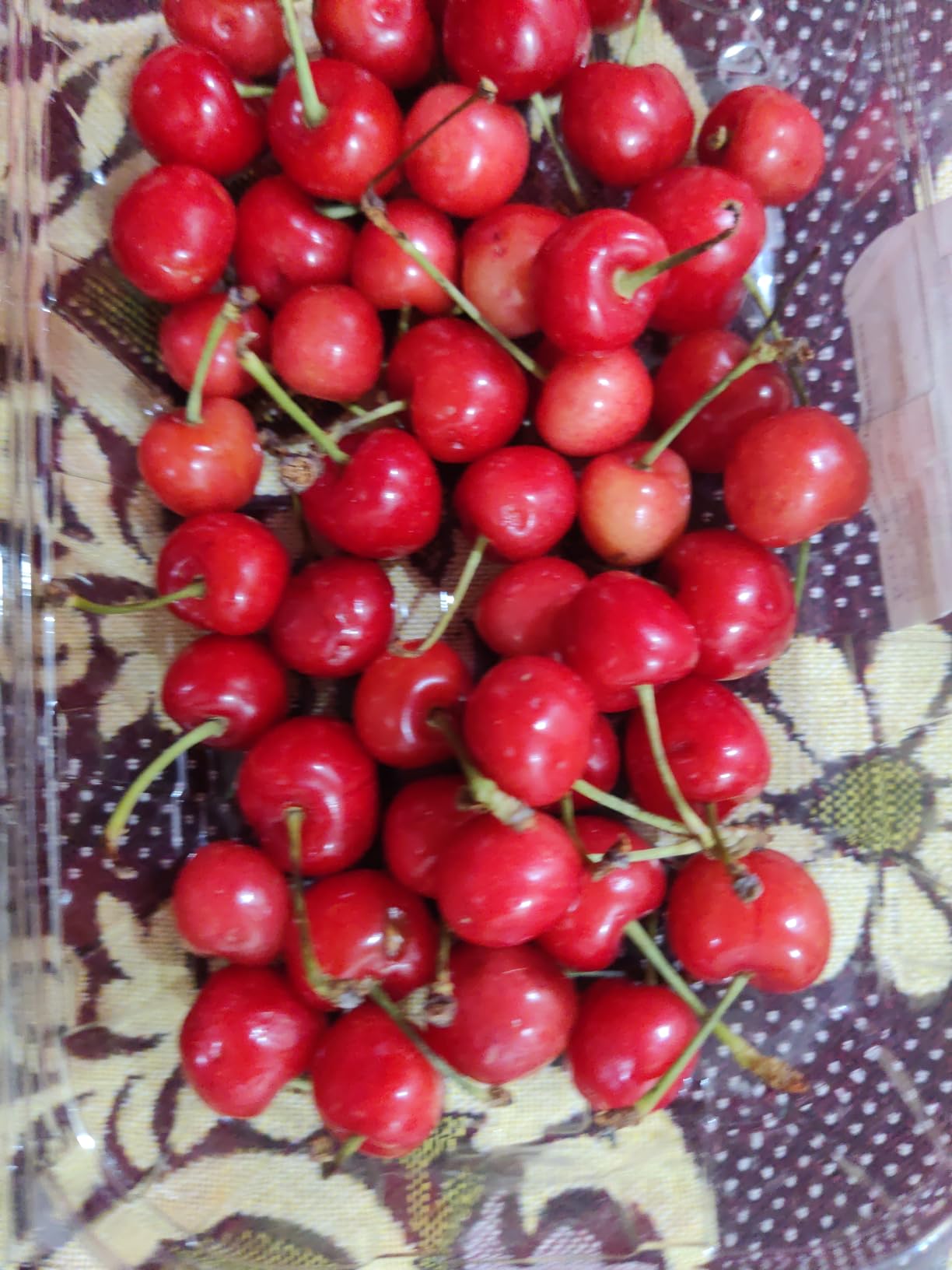 Fresh Indian Cherry, 250g : Amazon.in: Grocery & Gourmet Foods