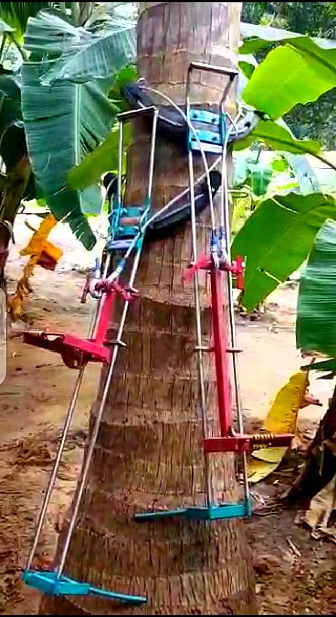 Amazon.com: Coconut Tree Climber Machine (Stainless Steel) - Heavy Duty ...