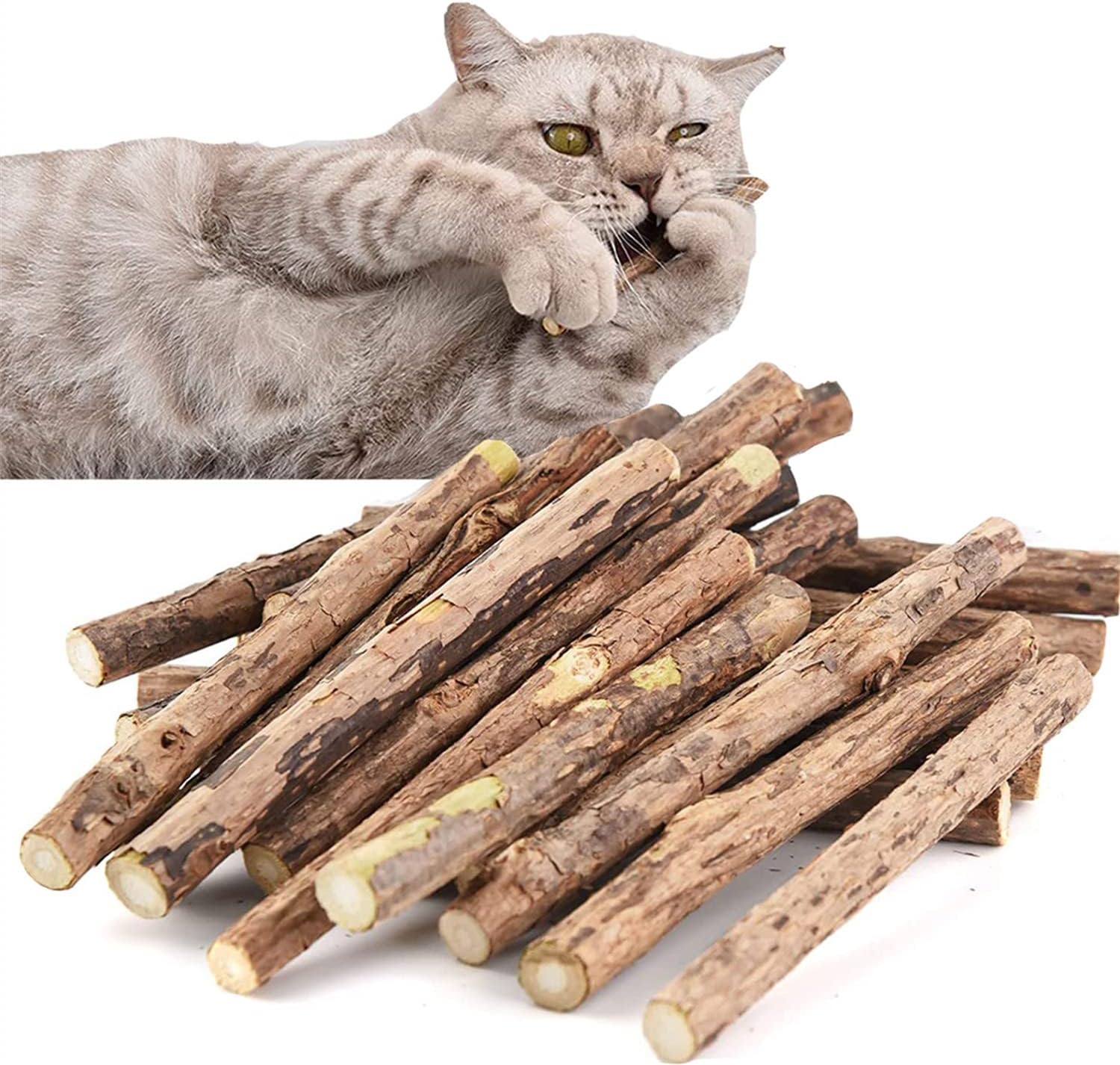 HUIRUMM Cat Catnip Sticks, 40 Pcs Chew Sticks for Cats, Chew Toy Cat ...