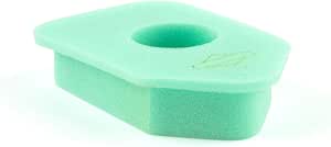 Amazon.com : Briggs & Stratton 4107 FOAM-FILTER (6 X 272235S) : Lawn ...