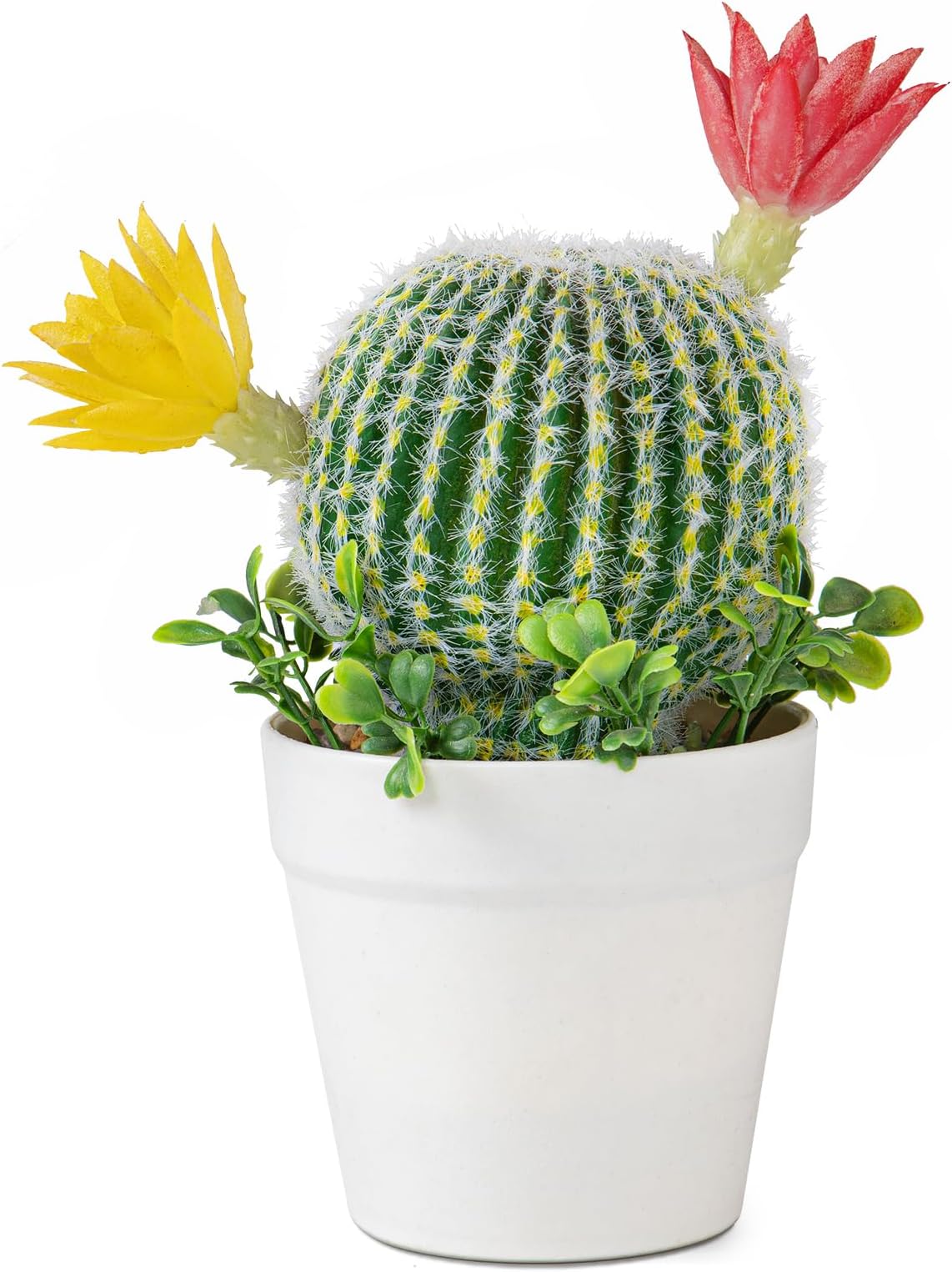 Amazon.com: BDUSXYZ 7.7 Inch Mini Artificial Cactus - Faux Cactus ...